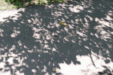 Eclipse tree shadow - SkySpy Photos, Images, Video