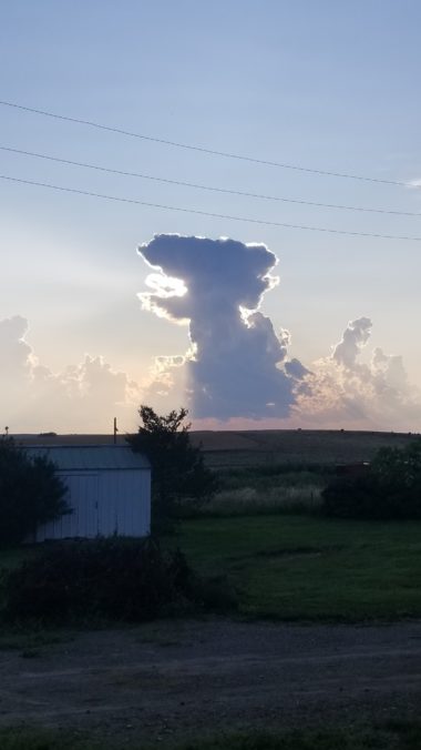 T-Rex Cloud - SkySpy Photos, Images, Video