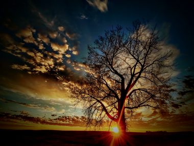 Sunset Medina - SkySpy Photos, Images, Video