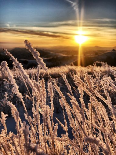 Frost and fog - SkySpy Photos, Images, Video