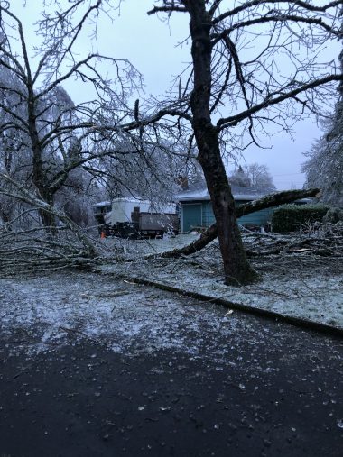 Destructive freezing rain! - SkySpy Photos, Images, Video