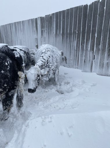 Robinson ND - SkySpy Photos, Images, Video