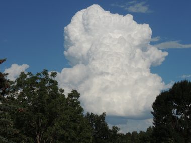 Tall Cloud - SkySpy Photos, Images, Video