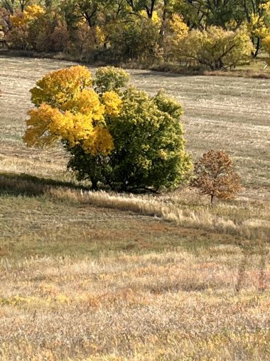 Fall colors near Cannonball River - SkySpy Photos, Images, Video