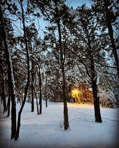 Snowing at dusk - SkySpy Photos, Images, Video