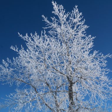 Heavy Frost - SkySpy Photos, Images, Video