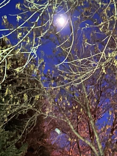 Beautiful December Moon - SkySpy Photos, Images, Video