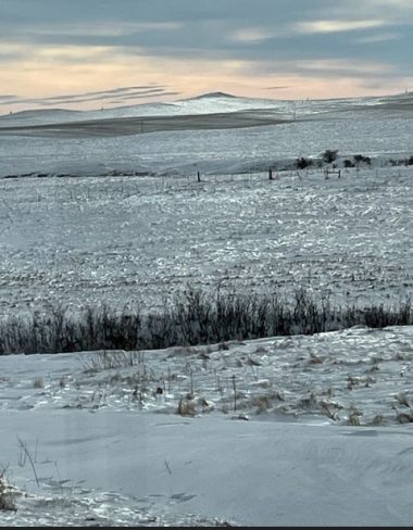 glazed snow from freezing rain - SkySpy Photos, Images, Video