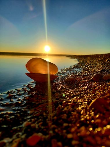 Bay Sunset - SkySpy Photos, Images, Video